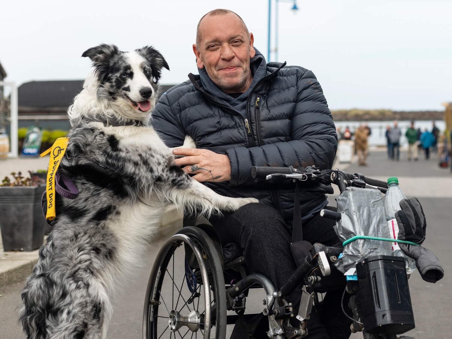 Assistance Dogs & Equality | Legal Insights - Rocket Lawyer UK