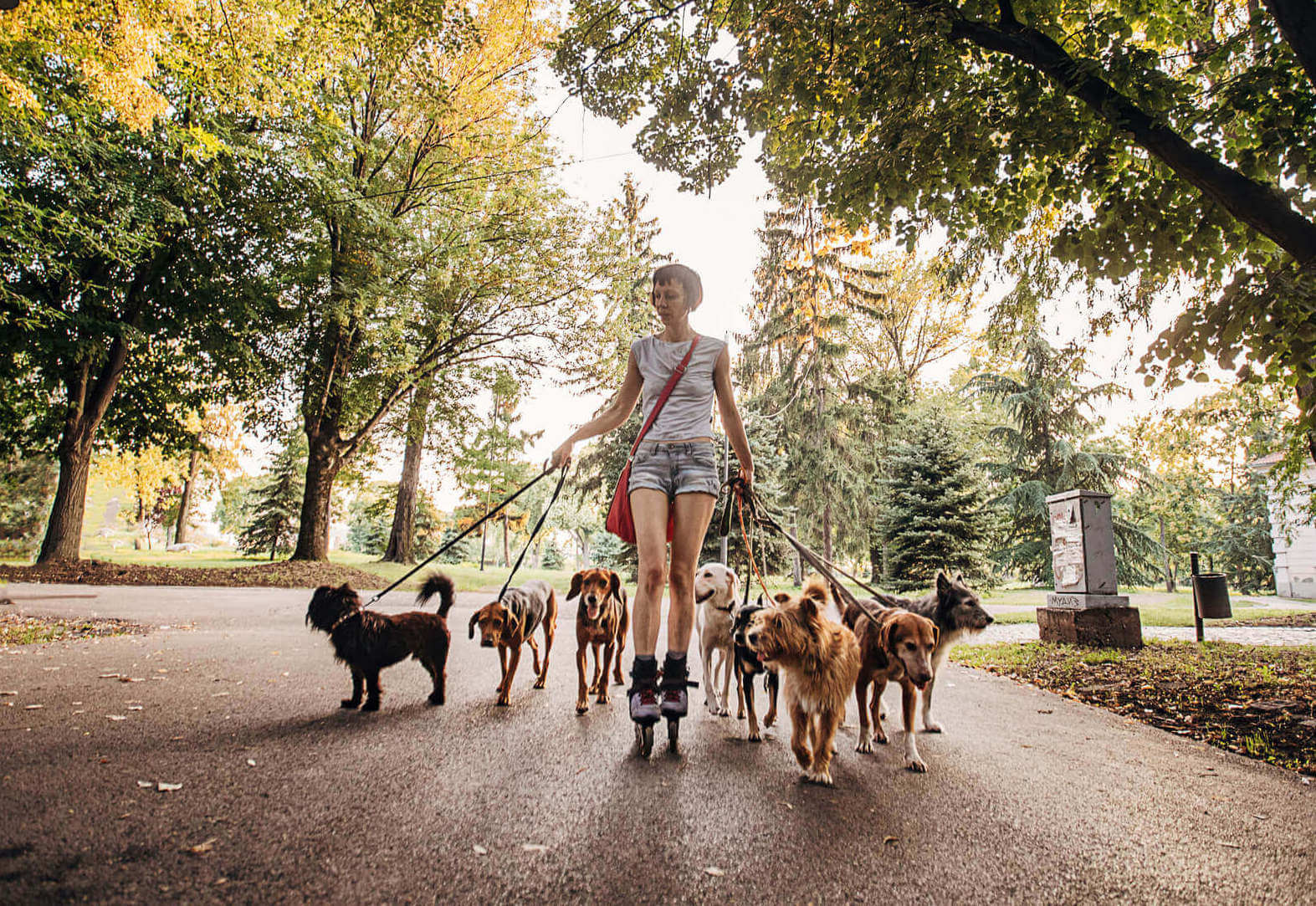 Side Hustles | Legal Insights - Rocket Lawyer UK