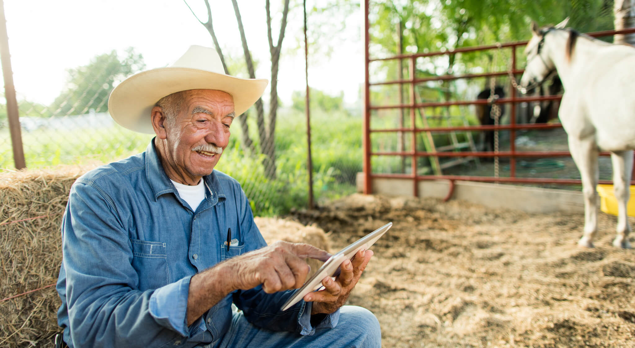 How to Buy and Sell Everything on the Farm - Rocket Lawyer