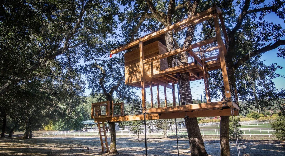 Member Spotlight: O2 Treehouse | Rocket Lawyer