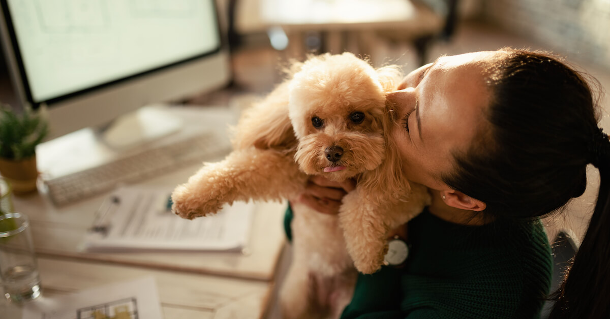 Return to Work: Welcoming Pets Into the Office - Rocket Lawyer