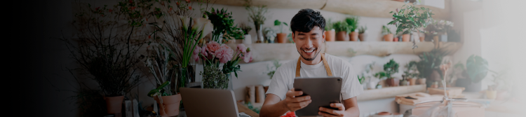 Rocket Lawyer Brasil